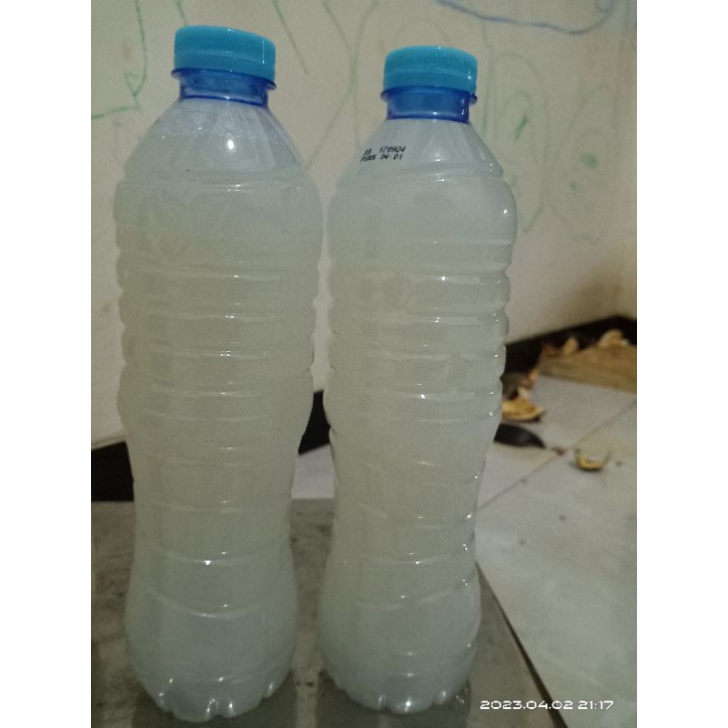 Jual Air Legen Dari Pohon Lontar isi 600ml (Peluruh Batu Ginjal/Batu ...