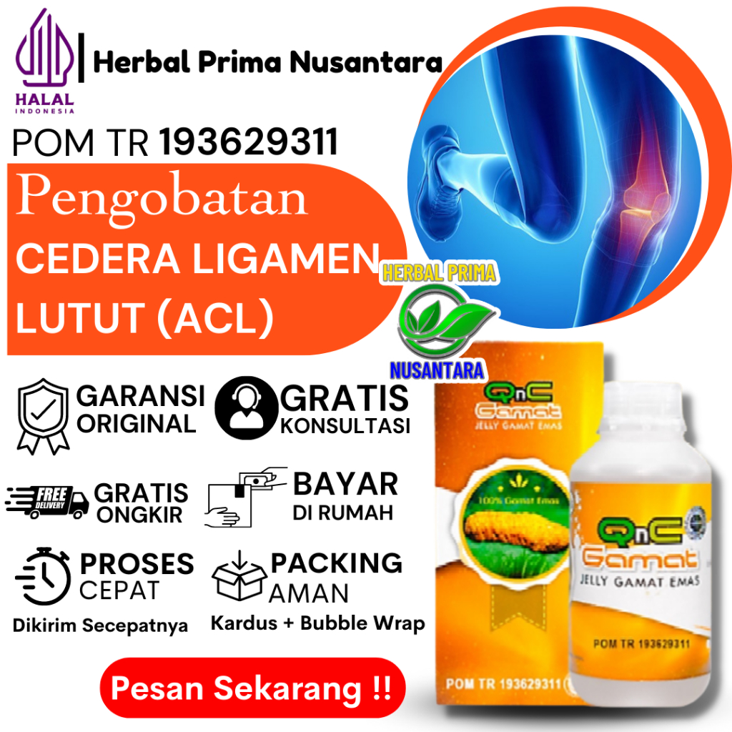 Jual Obat Cedera Ligamen Lutut - Obat Cedera ACL - Obat Anterior ...