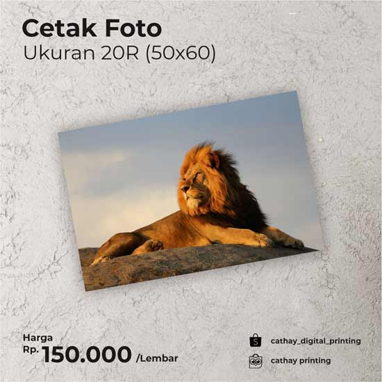 Jual CETAK FOTO UKURAN 20R | Shopee Indonesia