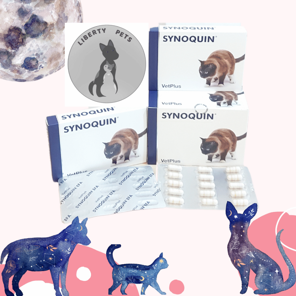 Jual Synoquin EFA ORIGINAL Suplemen Tulang, Sendi & Otot Kucing (1 ...