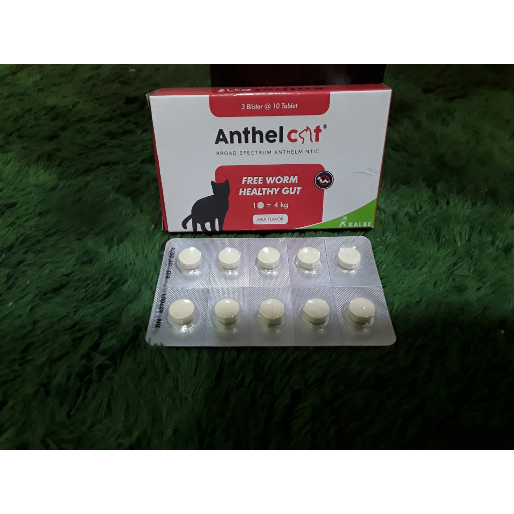 Jual ANTHEL CAT OBAT CACING KUCING | Shopee Indonesia