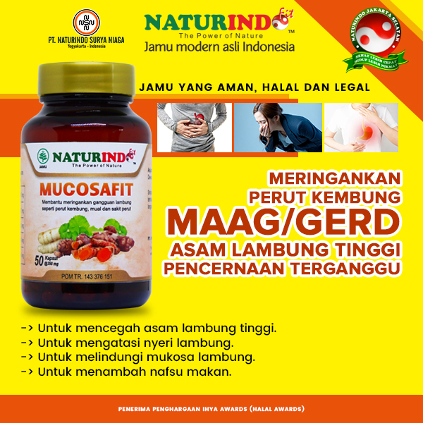 Jual Obat Herbal sakit Maag Lambung Gerd Perut Mucosafit Naturindo ...