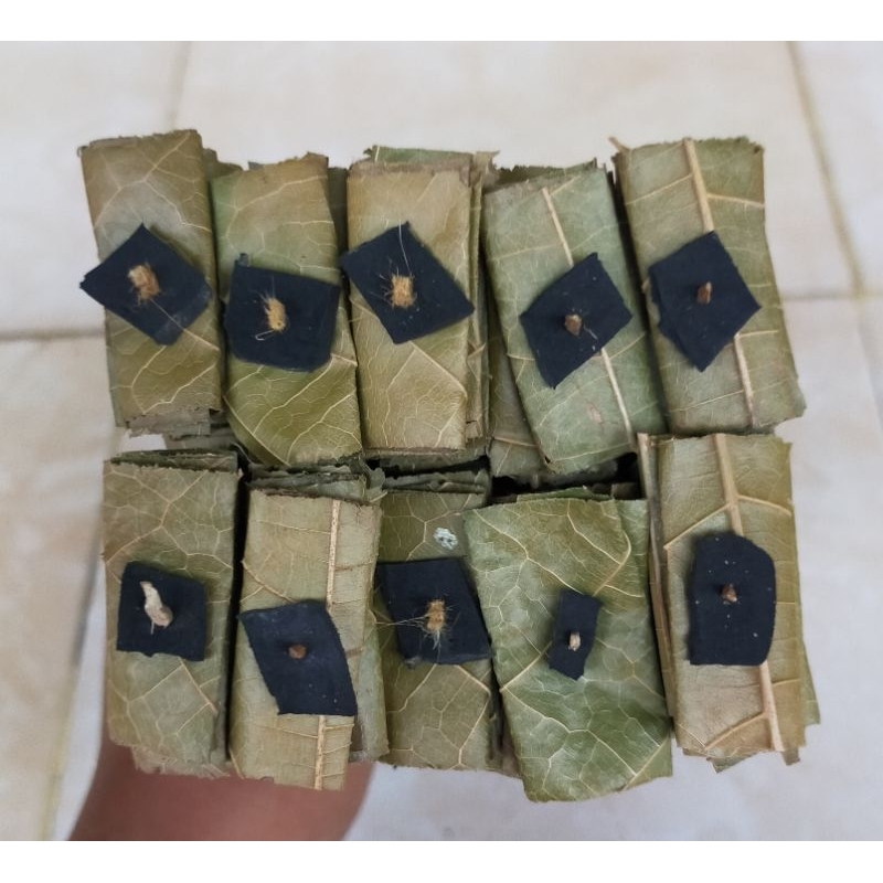 Jual Porosan banten/porosan tusuk (10 tusuk) | Shopee Indonesia