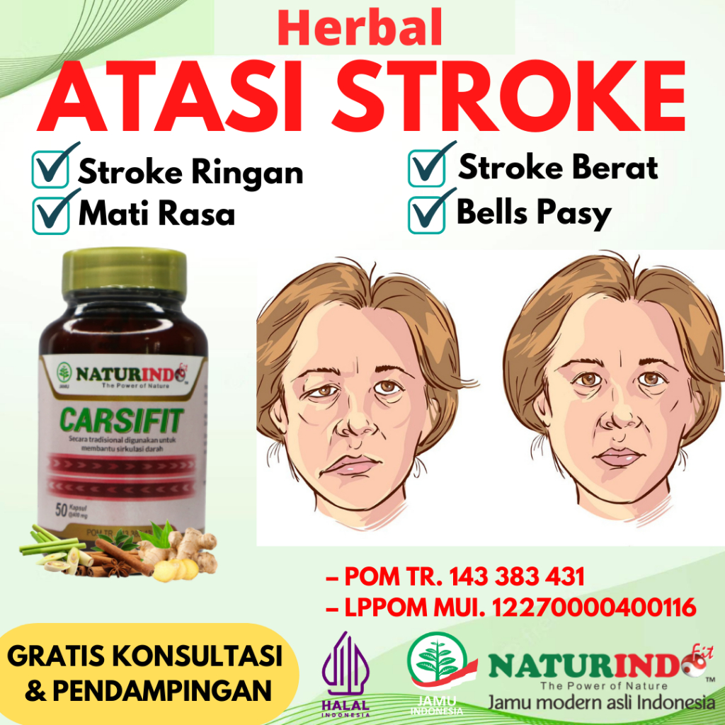Jual Obat Herbal Stroke Berat Ringan Struk Bells Palsy | Shopee Indonesia