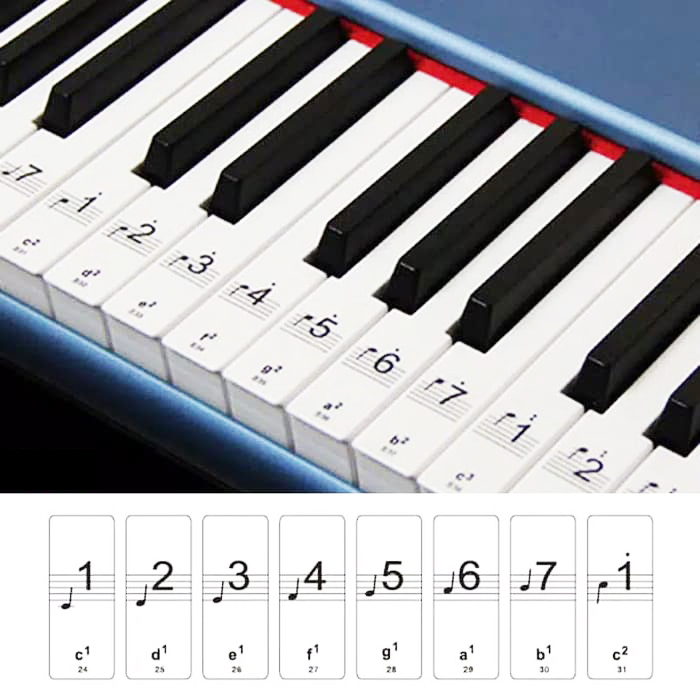 Jual Stiker Label Tuts Nada Keyboard Piano Notes Practice Sticker SV-88 ...