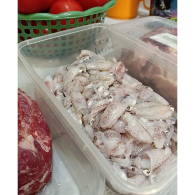 Jual Baby cumi segar/fresh berat kurang lebih 1 kg | Shopee Indonesia