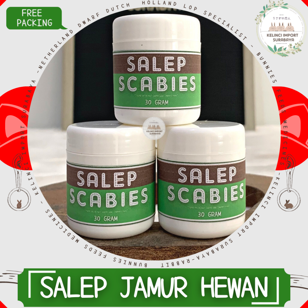 Jual SALEP Scabies Jamur Gudik Gatal Hewan Kelinci Kucing - 1 Tube ...