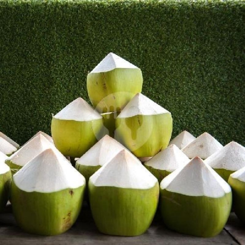 Jual kelapa muda,kelapa muda jawa,degan, degan asli purworejo, kelapa ...