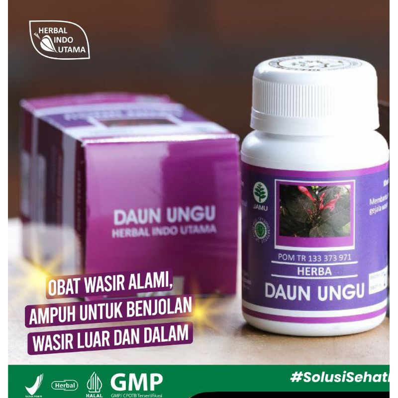 Jual DAUN UNGU Herbal Indo Utama HIU - Kapsul ekstrak Daun Wungu Obat Wasir Ambien Hemoroid ...