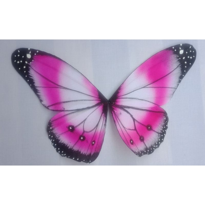 Jual SAYAP KUPU KUPU LUCU UNIK ACC FOTO NEWBORN FOTO BAYI LUCU 60cm ...