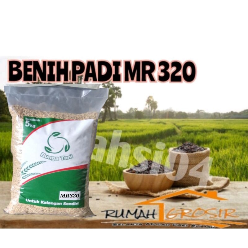 Jual BENIH PADI MR320 5KG NEW | Shopee Indonesia