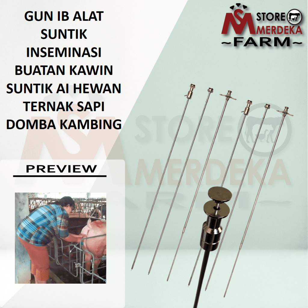 Jual Gun IB Alat Suntik Inseminasi Buatan Kawin Suntik AI Hewan Ternak Sapi Domba Kambing ...