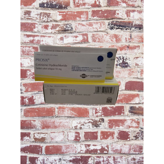 Jual PROSIX TABLET CETIRIZINE HCl 10MG PER STRIP | Shopee Indonesia