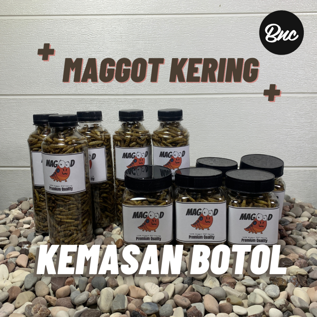 Jual Maggot Kering Magot Dry Maggot Pakan Ikan Terbaik Tidak Berminyak ...