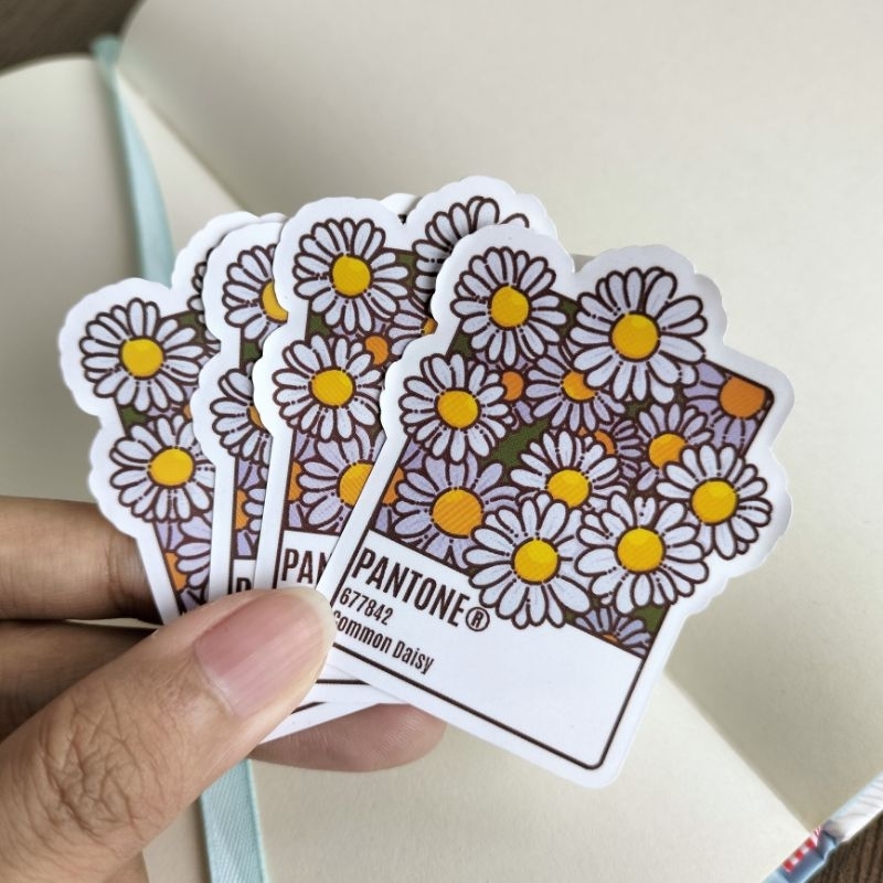 Jual Pantone Common Daisy - Sticker Die Cut | Shopee Indonesia