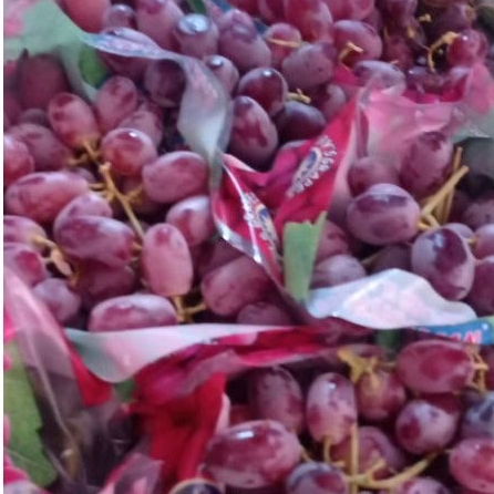 Jual anggur crimson seedless | Shopee Indonesia