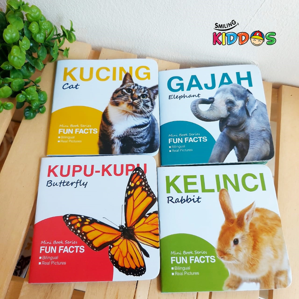 Jual SK MINI BOOK FUN FACT - Buku Pengenalan Pengetahuan Anak Bayi ...