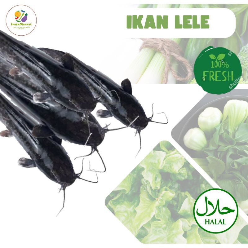 Jual Ikan Lele Segar Bersih Fresh 1 Kg Freshmarketlampung | Shopee Indonesia