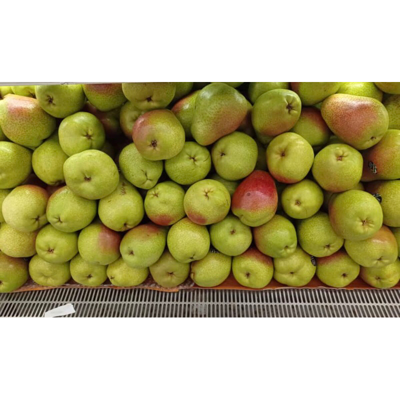 Jual Buah Pear Forella Afrika 1 kg | Shopee Indonesia