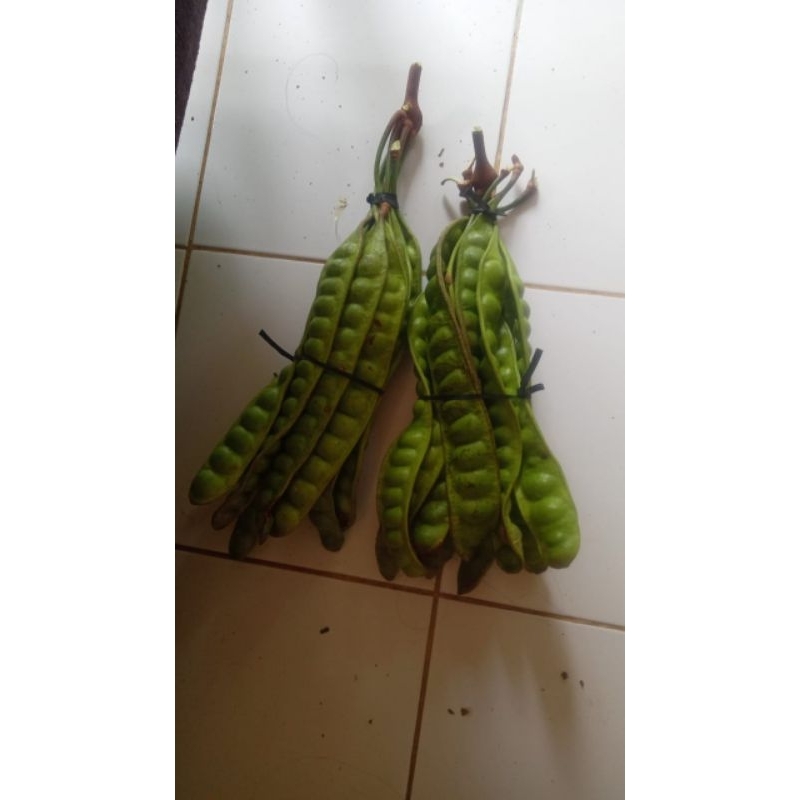Jual petay | Shopee Indonesia