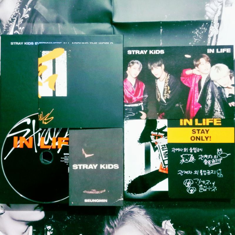 Jual Stray Kids StrayKids SKZ In Life Limited Ver. Album Only (Package ...