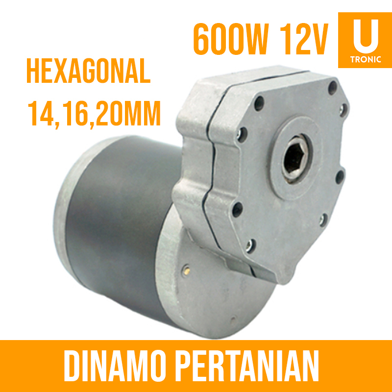 Jual Dinamo Motor Alat pertanian 600w 12V High Torsi Hexagonal Hole (7185) Rp810.000 | Shopee ...