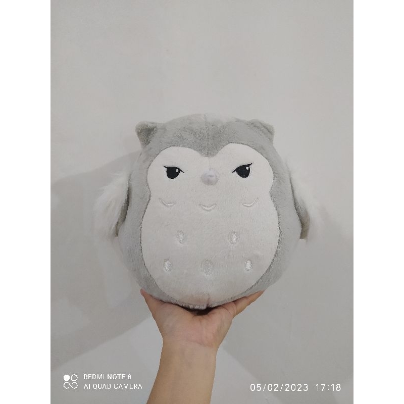 Jual boneka owl burung hantu drakor boyfriends park bo gum | Shopee ...