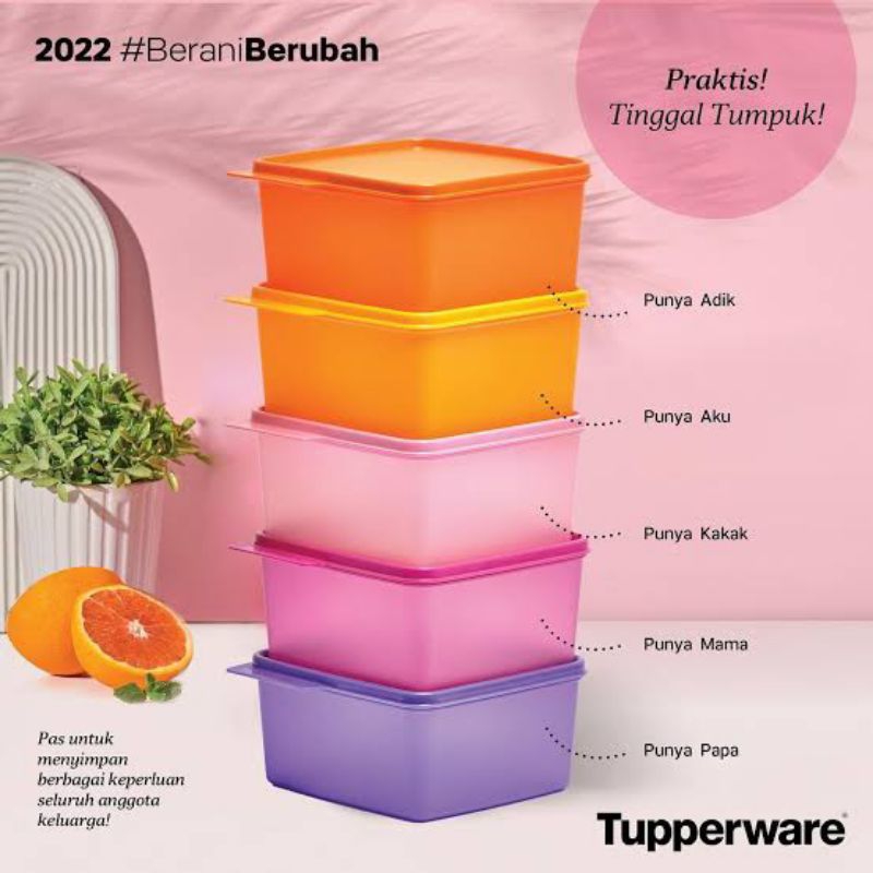 Jual Tupperware Makan MULTI Fungsi [ Cocok untuk Anak ] | Shopee Indonesia
