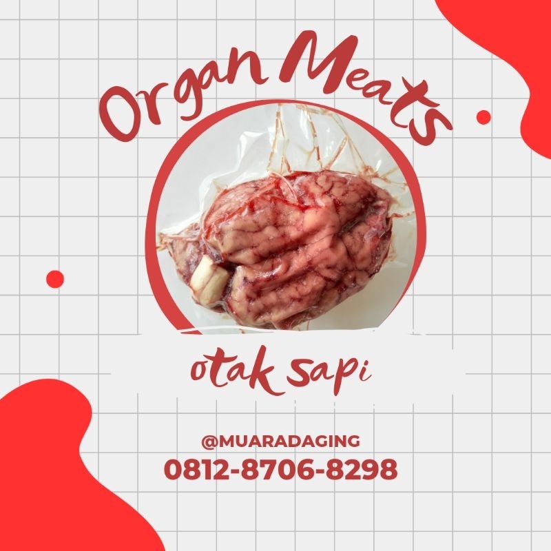 Jual GRASSFED BEEF - Otak Sapi | Shopee Indonesia