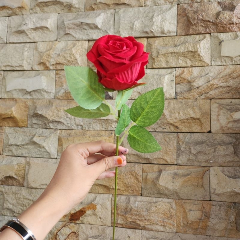 Jual Mawar Velvet / Mawar Bluru Premium / Bunga Mawar Duri Rose ...
