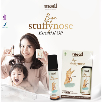 Jual Moell Special Nourish Hair Everyday - Hair Lotion + Bubbles ...