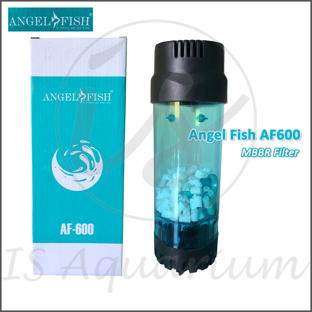 Jual Angelfish AF-600 Filter Thermos Kaldness Moving Bed BUKAN Q*nvee LH600 | Shopee Indonesia