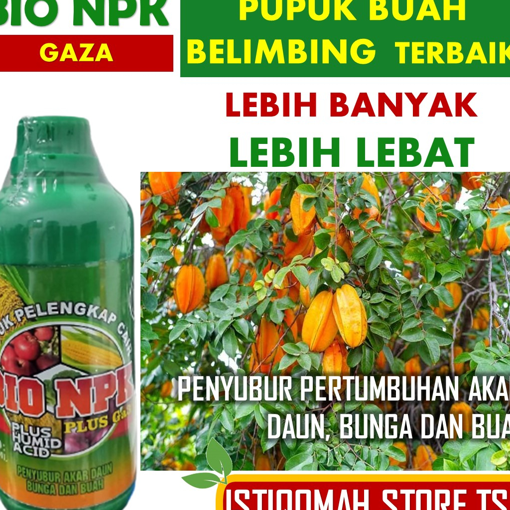Jual Pupuk BIO NPK PLUS GAZA 5 Pelebat Buah Belimbing Sehat dan Lebat – Pupuk Penumbuh Bunga ...