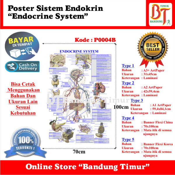Jual POSTER SISTEM ENDOKRIN ENDOCRINE SYSTEM | Shopee Indonesia
