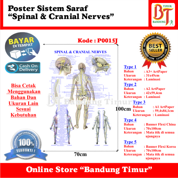 Jual POSTER SISTEM SARAF - SPINAL & CRANIAL NERVES | Shopee Indonesia