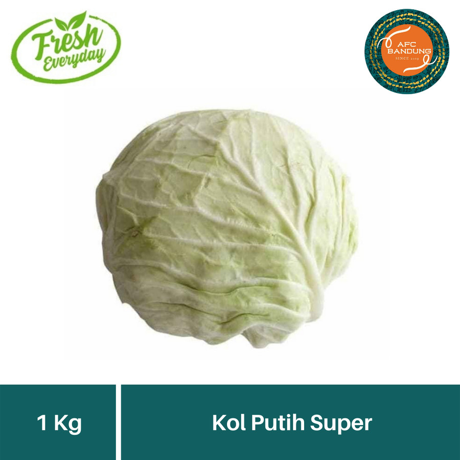 Jual Sayur Kol / Cabbage / Kol putih super fresh Kemasan 1 kg | Shopee ...