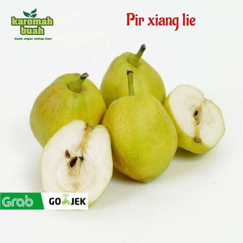 Jual BUAH PEAR XIANG LIE 1 KG ( pir xianglie manis ) Manis segar banyak ...