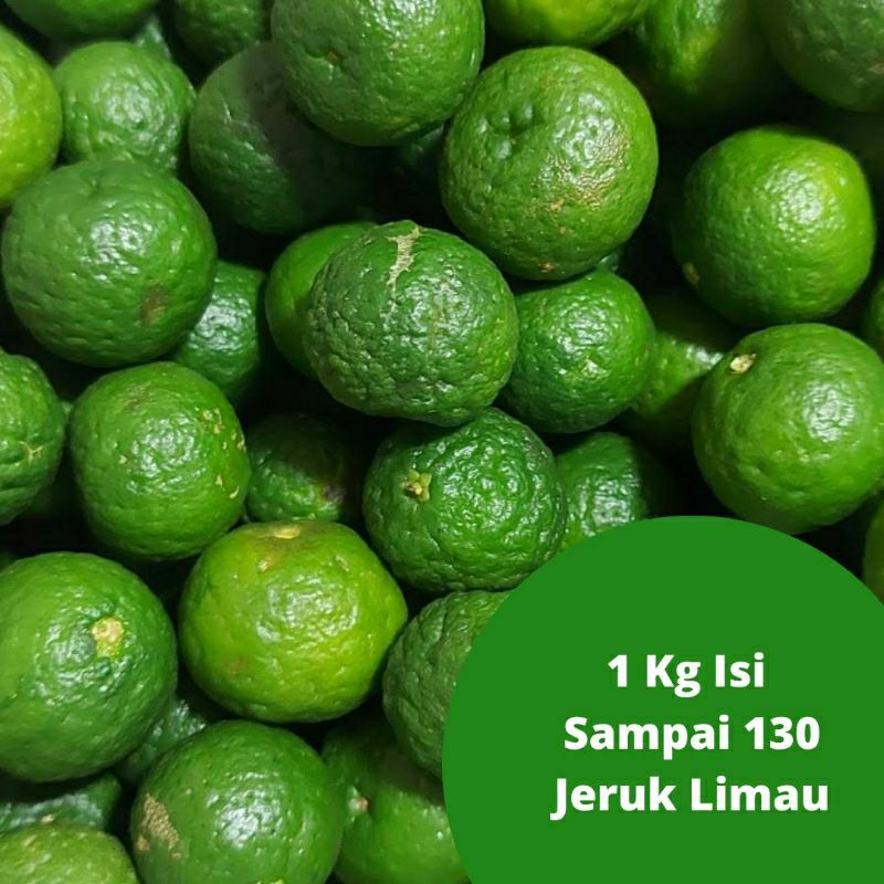 Jual Buah Jeruk Limau Hijau Fresh Jeruk Limo Segar Sekilo 1 Kg | Shopee ...