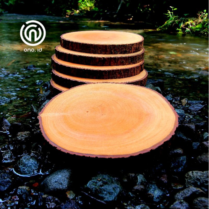 Jual Wood Slice 22 - 24cm | Tatakan Kayu Besar | Coaster Kayu | Log ...