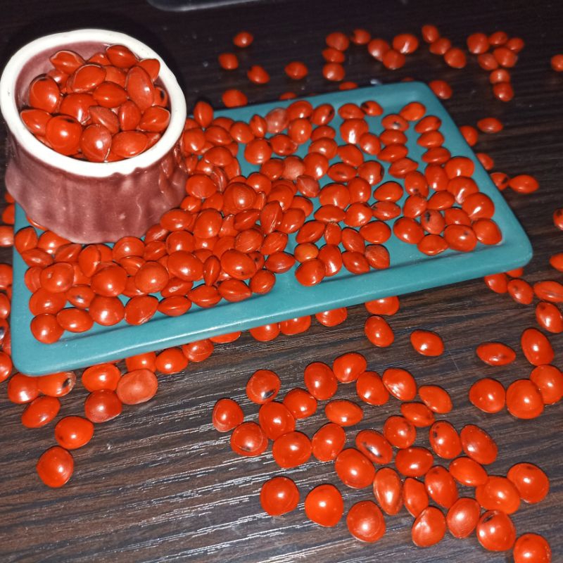 Jual BIJI SAGA MERAH POHON isi 30 biji/SEGO TTELIK/BIJI UNTUK ...