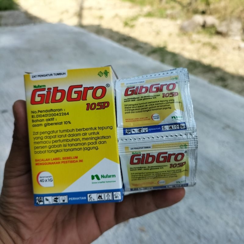 Jual Paket isi 10 Pcs / Zpt Gibgro 10 SP 1Gram Zat Pengatur Tumbuh Asam ...