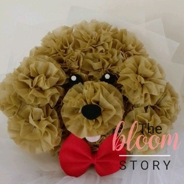 Jual buket karakter Poodle/buket bunga/buket boneka/buket wisuda/hadiah ...