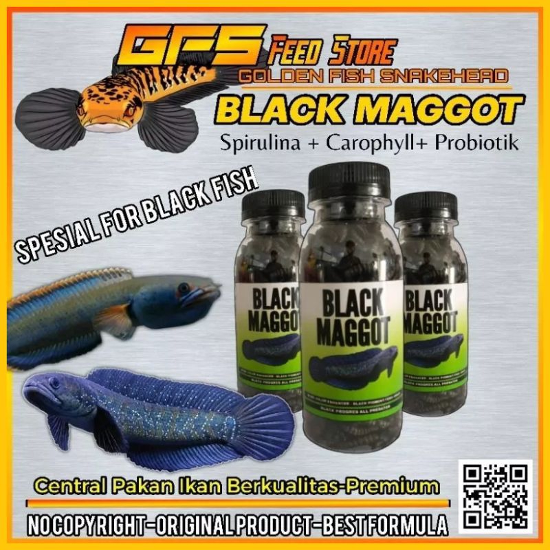 Jual BLACK MAGGOT UNTUK ASIATICA WS/ MARU KEMASAN BOTOL 100ML | Shopee ...