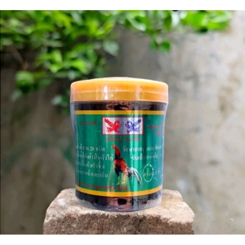 Jual KAMLANG LUKA DALAM BASAH | Shopee Indonesia