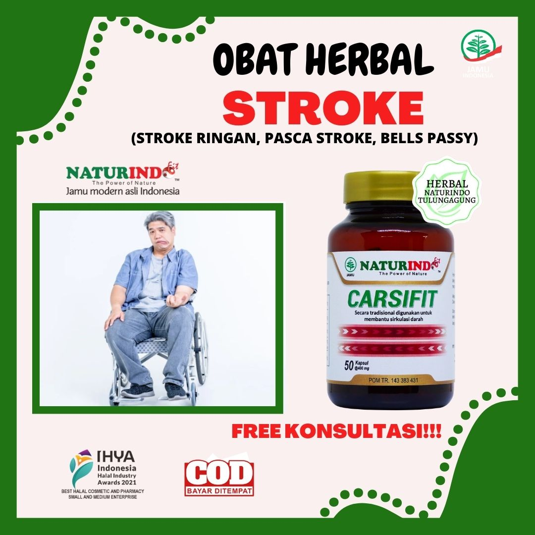 Jual Obat Stroke Struk Pasca Stroke Lumpuh Bella Palsy Stroke Ringan ...