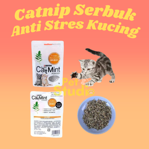 Jual Catnip Catmint Serbuk Anti Stress Kucing Sachet | Shopee Indonesia