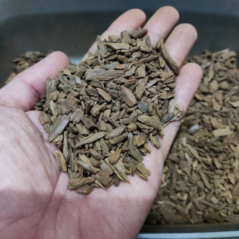 Jual Kayu Gaharu Bukhur Merauke Grade AA Super Asli Original Alami ...