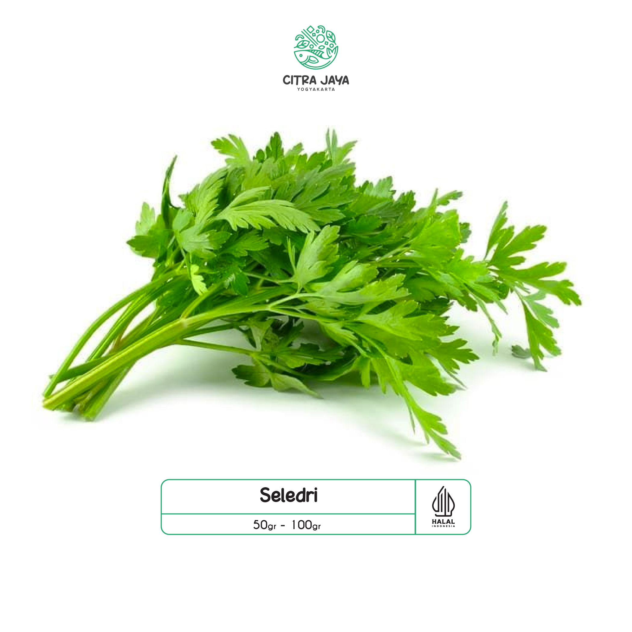 Jual Seledri 100g - Citra Jaya Yogyakarta | Shopee Indonesia