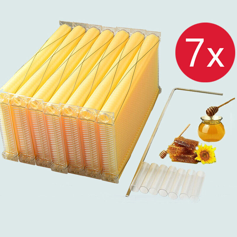 Jual Bingkai Sarang Lebah 7 Super Frames Bingkai Sarang Madu Budidaya ...