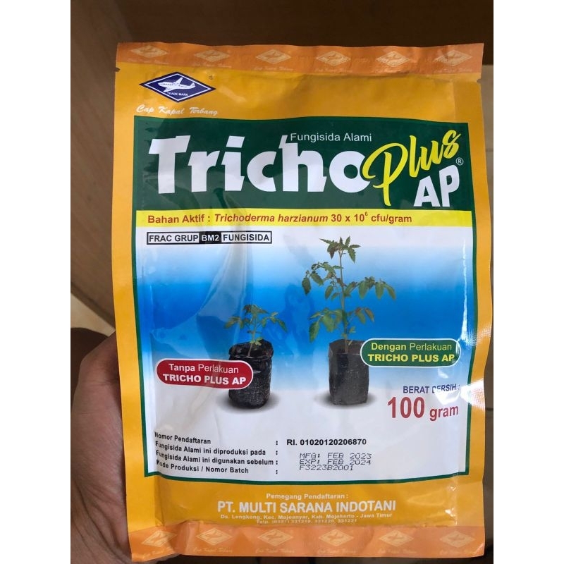 Jual FUNGISIDA Tricho Plus AP Jamur Trichoderma Harzianum 100 Gram ...